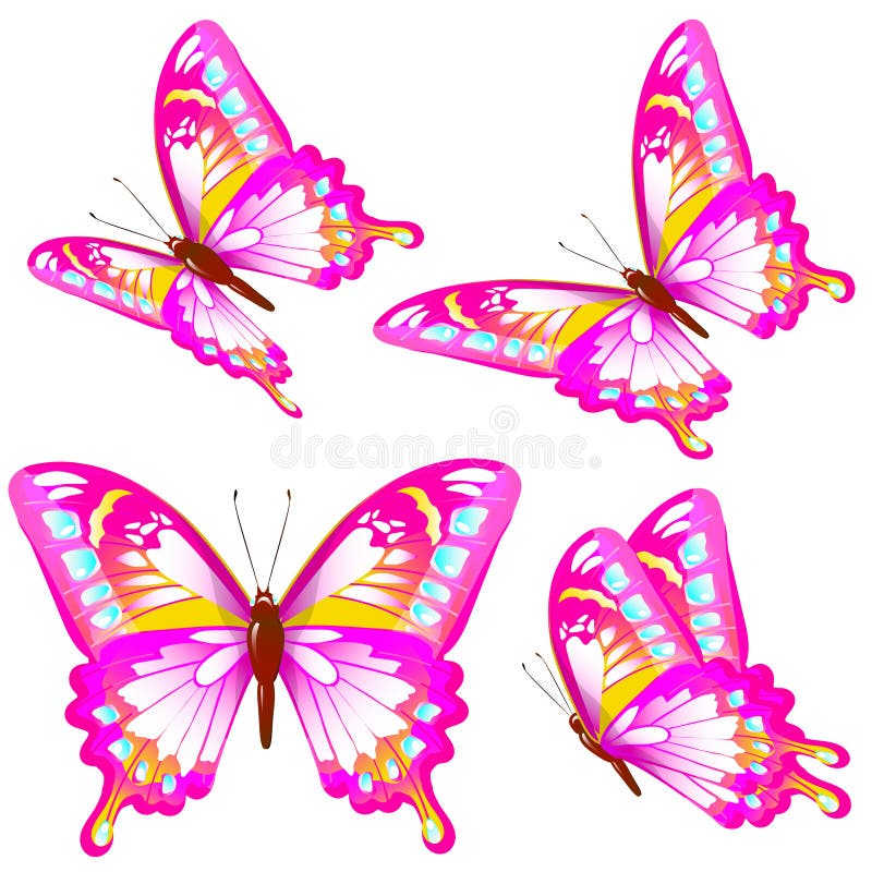 Borboletas Cor-de-rosa Bonitas, Isoladas Em Um Branco Ilustração do ...