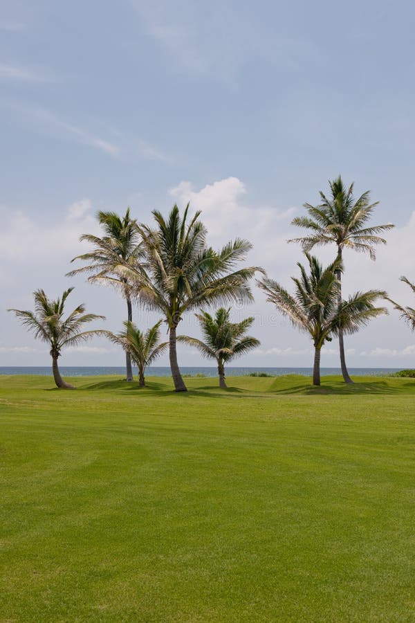Bord De Mer De Golf De Cours Photo stock - Image du pelouse, détente ...