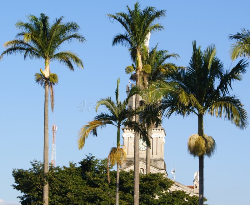 Borda Da Mata Minas Gerais Stock Photos - Free & Royalty-Free Stock ...