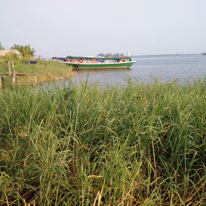Borde Laguna De Abatta Village Abidjan Foto de archivo - Imagen de borde, laguna: 344915324