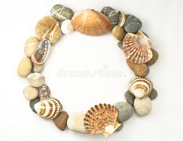 248 Seashell Frame Border Black Stock Photos - Free & Royalty-Free ...