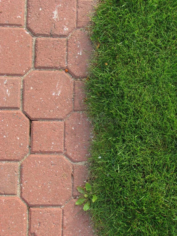 Border stock photo. Image of herb, difference, pavement - 1338136