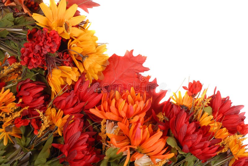 Autumn flowers border stock photo. Image of fall, vibrant - 10545330