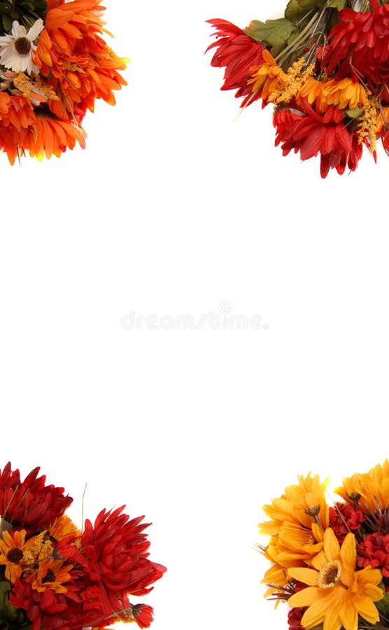 250+ Autumn flower border Free Stock Photos - StockFreeImages