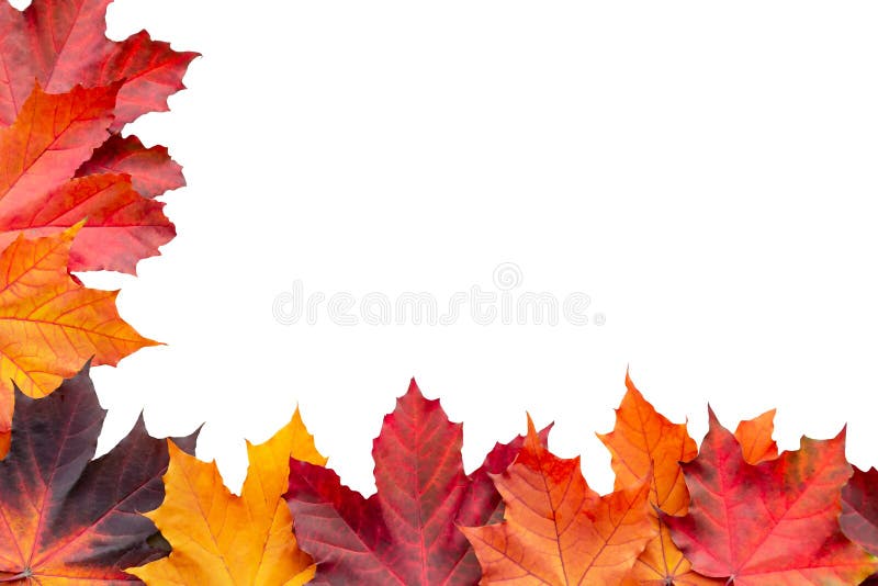 Autumn Maple Leaves Shaped Arch, Isolated on White Background Stock ...