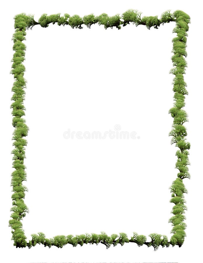 Border: Broccoli stock photo. Image of salad, market, summer - 5411240