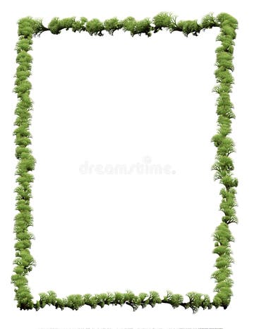 Border: Broccoli stock photo. Image of salad, market, summer - 5411240