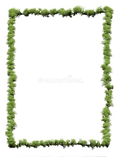 Border: Broccoli stock photo. Image of salad, market, summer - 5411240