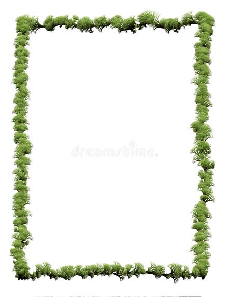 Border: Broccoli stock photo. Image of salad, market, summer - 5411240