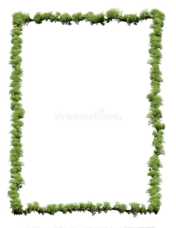 Border: Broccoli stock photo. Image of salad, market, summer - 5411240