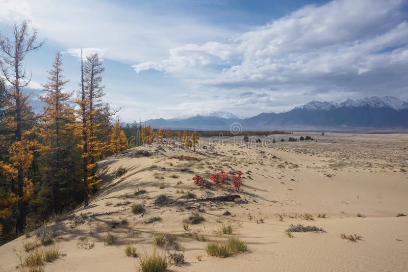 The Border of the Chara Desert and Taiga Stock Photo - Image of ...