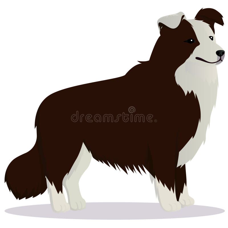 Cartoon Border Collie Stock Illustrations – 494 Cartoon Border Collie ...