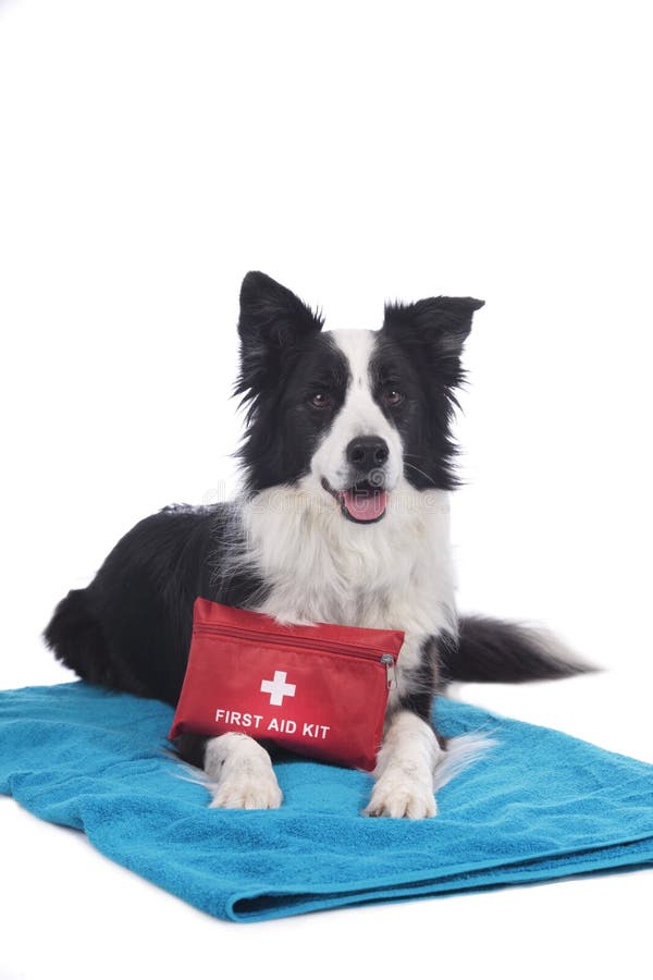 391 Black White First Aid Kit Stock Photos - Free & Royalty-Free Stock ...