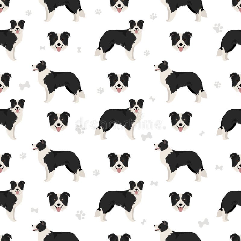 Border Collie Dog Seamless Pattern Stock Vector - Illustration of dogs ...