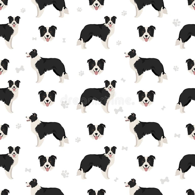 Border Collie Dog Seamless Pattern Stock Vector - Illustration of dogs ...