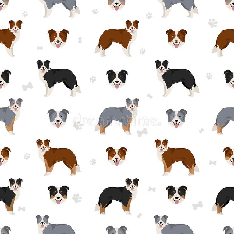 Border Collie Dog Seamless Pattern Stock Vector - Illustration of dogs ...