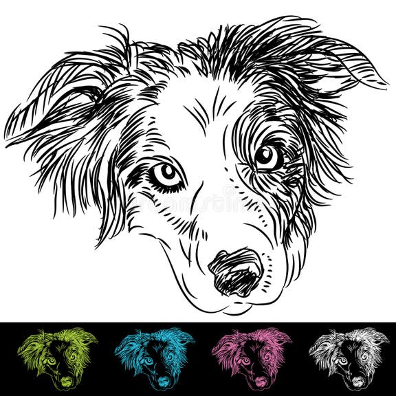 Border Collie Line Art Stock Illustrations – 355 Border Collie Line Art ...