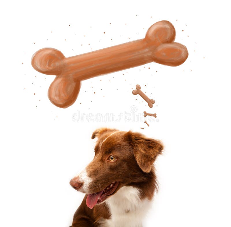 166 Dog Thinking Bone Stock Photos - Free & Royalty-Free Stock Photos ...