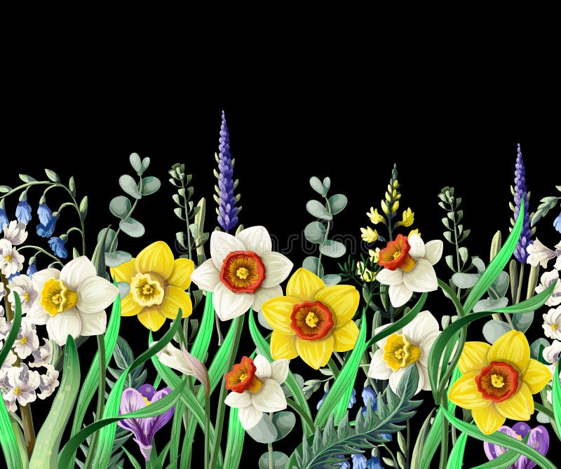 Daffodils border stock vector. Illustration of daffodil - 21496721