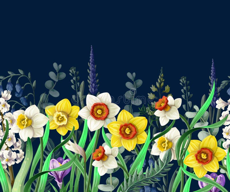 Daffodils Border Stock Illustrations – 5,772 Daffodils Border Stock ...
