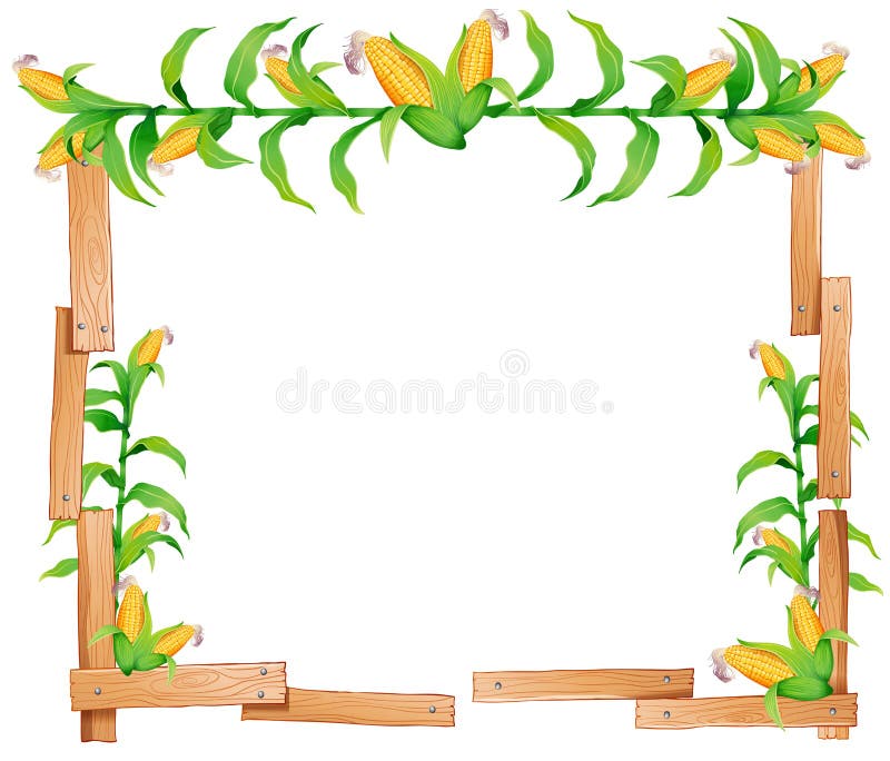 A Border Design with Fresh Colorful Flowers Stock Vector - Illustration ...