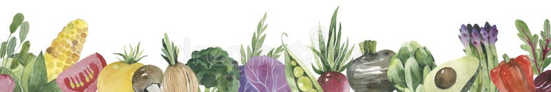 Border Design with Fresh Corn Stock Vector - Illustration of vegetable ...