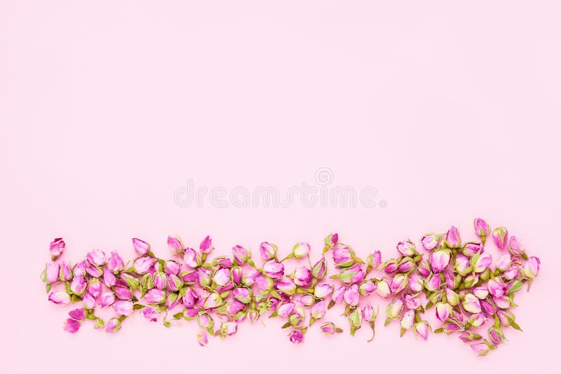 733 Tea Rose Border Stock Photos - Free & Royalty-Free Stock Photos ...