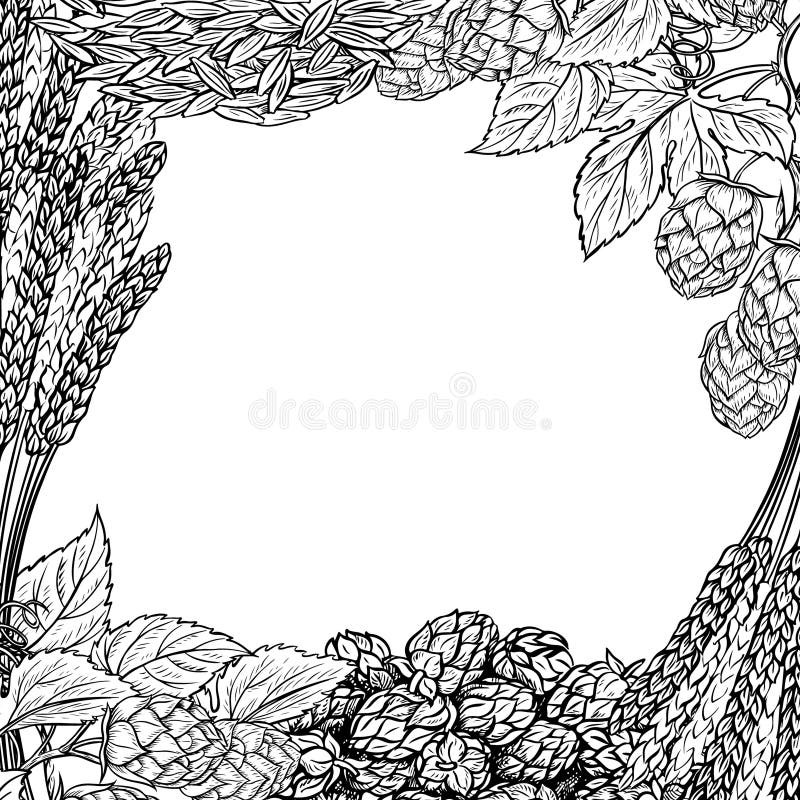 Border Frame with Barley, Grain Malt, Hops. Ingredients for Brewing ...