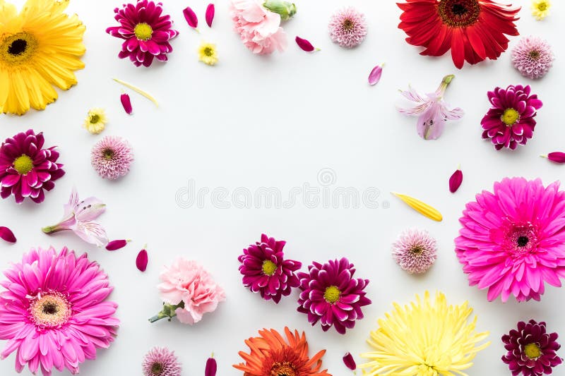 A Border Frame of Colourful Blossoms and Petals with Copy Space in the ...