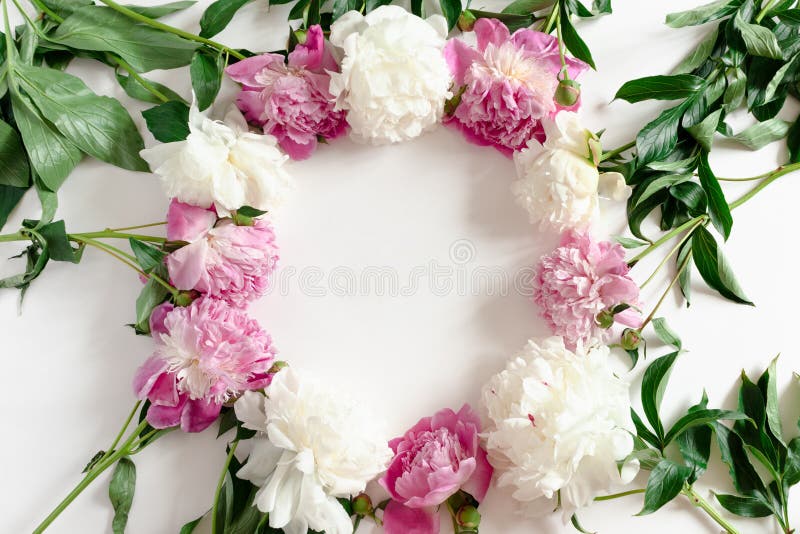 Border Frame Made of Colorful Peony Flowers Stock Image - Image of ...