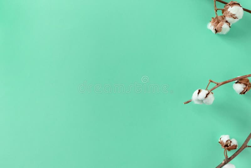 Border Frame Made of Cotton Branches Stock Image - Image of flora ...