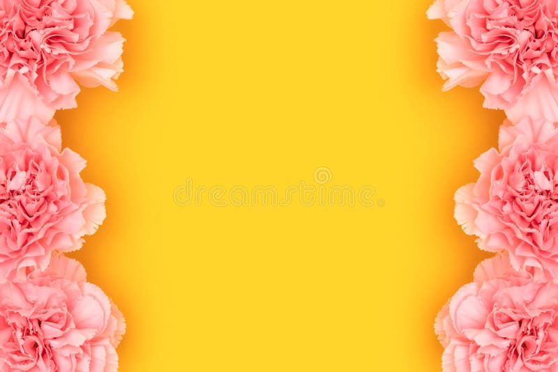 1,470 Pink Carnation Border Stock Photos - Free & Royalty-Free Stock ...