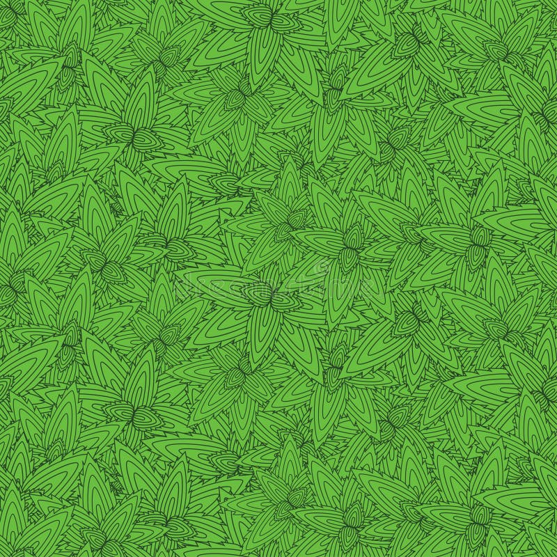 Border Frame with Mint Contour Leaves Stock Illustration - Illustration ...