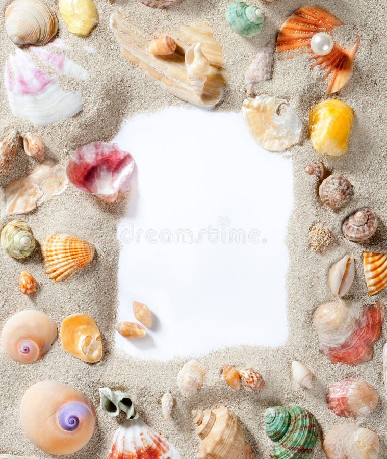 Border Frame Summer Beach Shell Blank Copy Space Stock Photo - Image of ...