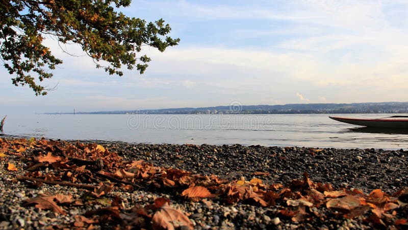 Border Lake with Autumn Falling Leaves Stock Image - Image of ground ...
