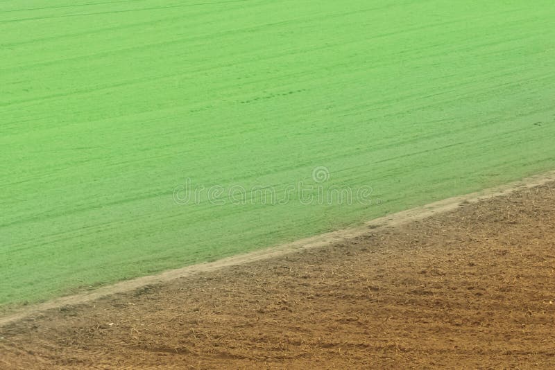 Border Line Green Grass Field and Soil Land Crop Background, Top View ...