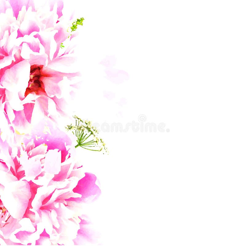 Border with Peony stock vector. Illustration of frame - 195387363
