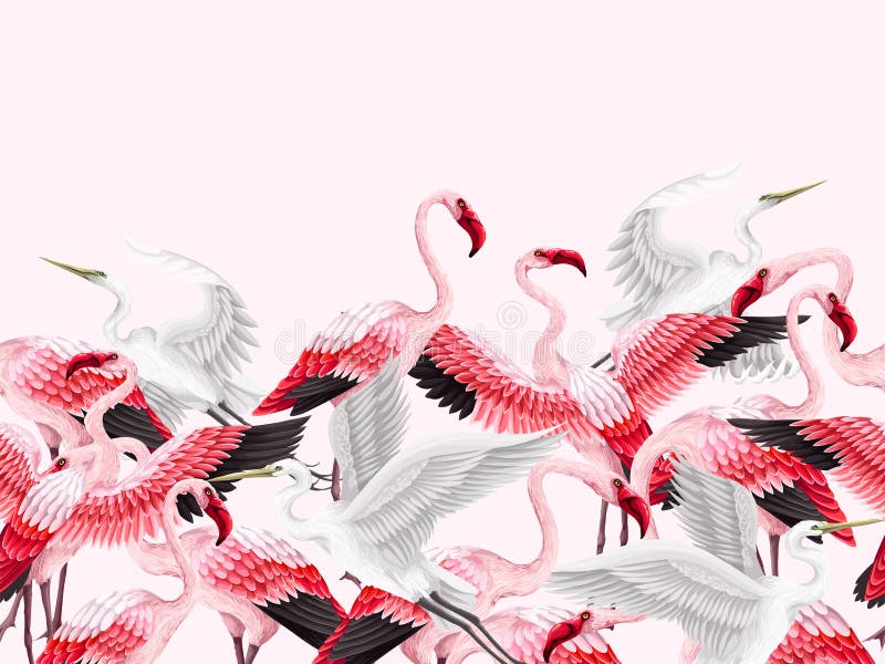 Border with Pink Flamingos and White Herons. Vector. Stock Vector ...