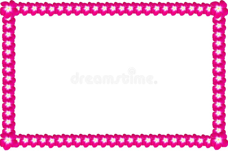 Border of pink flower stock image. Image of white, bloom - 56493083