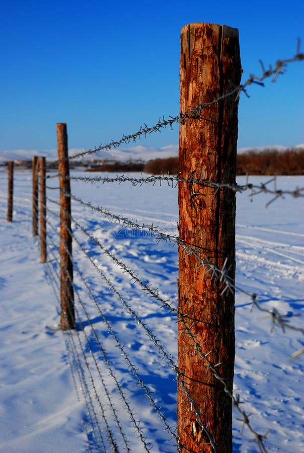 Border Posts Along the Frontier Stock Image - Image of snow, poles ...