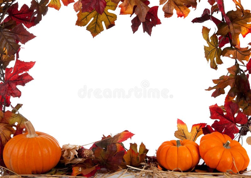 Border of Pumpkins on Hay on White Stock Image - Image of rural, patch ...