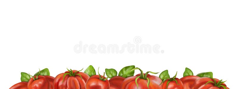 Cherry Tomato Border Stock Illustrations – 286 Cherry Tomato Border ...