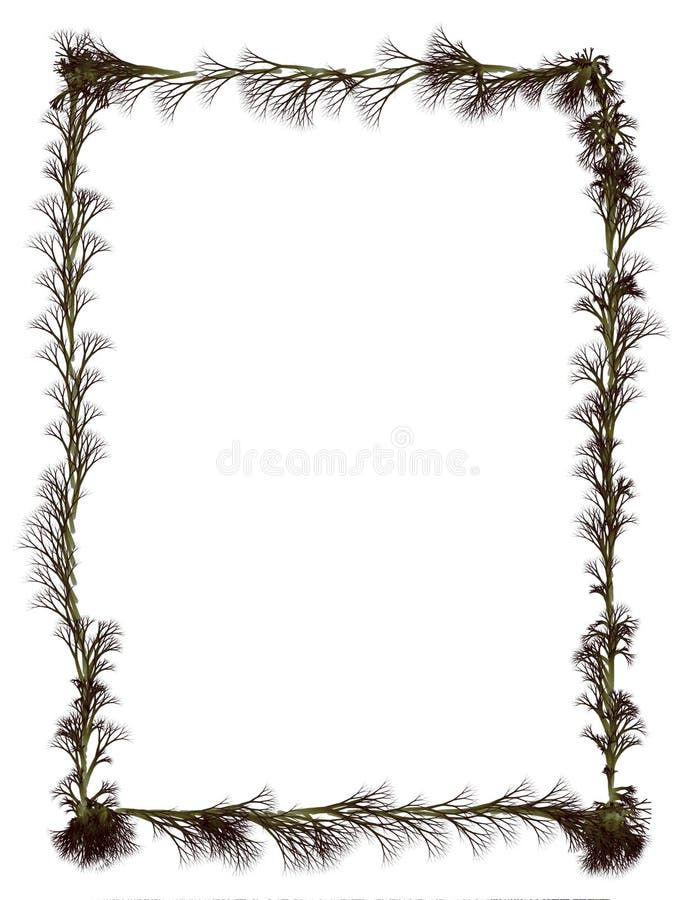 Border: Roots stock image. Image of sign, party, branches - 5411129