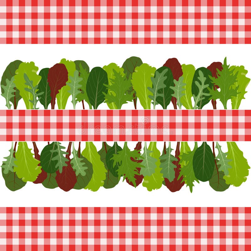 Mixed Salad Leaves with Hard Boiled Egg Stock Vector - Illustration of ...