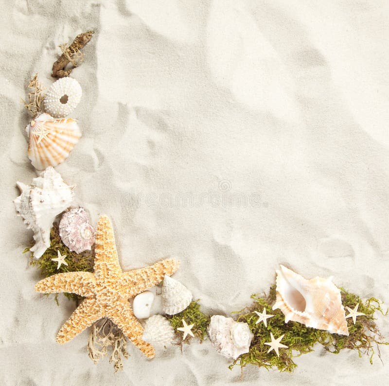 Border of seashells stock image. Image of seashells, seashell - 14685777