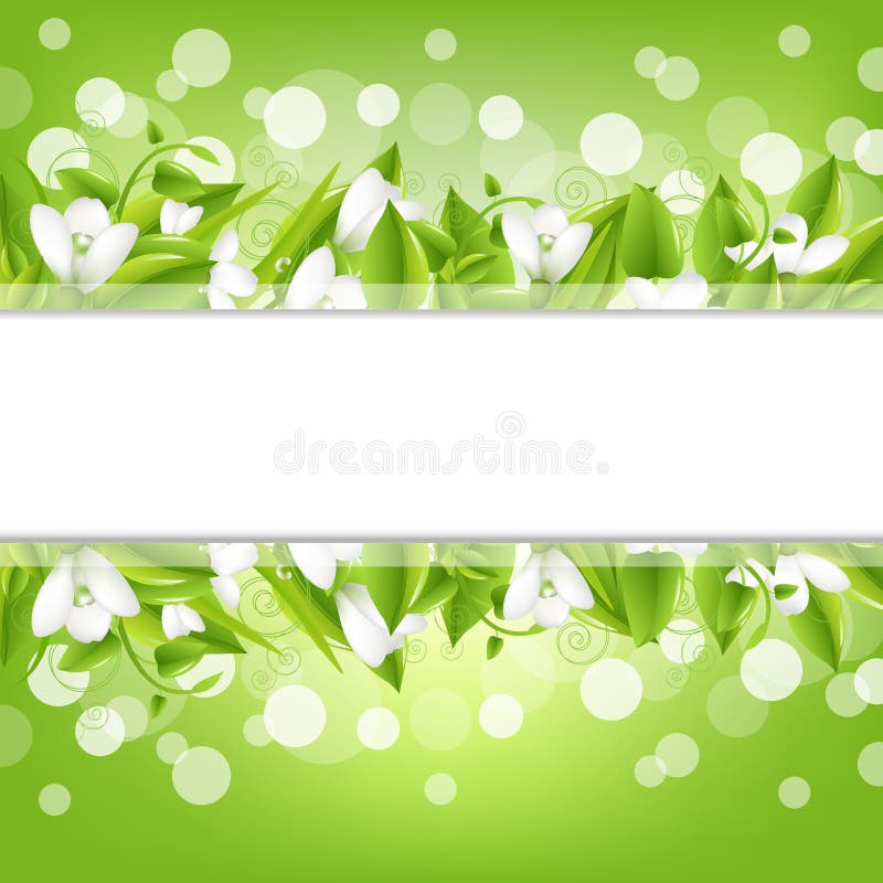 Border Snowdrops Stock Illustrations – 432 Border Snowdrops Stock ...