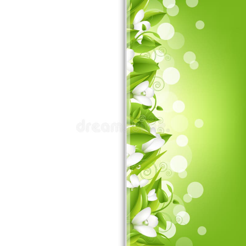 Border Snowdrops Stock Illustrations – 435 Border Snowdrops Stock ...