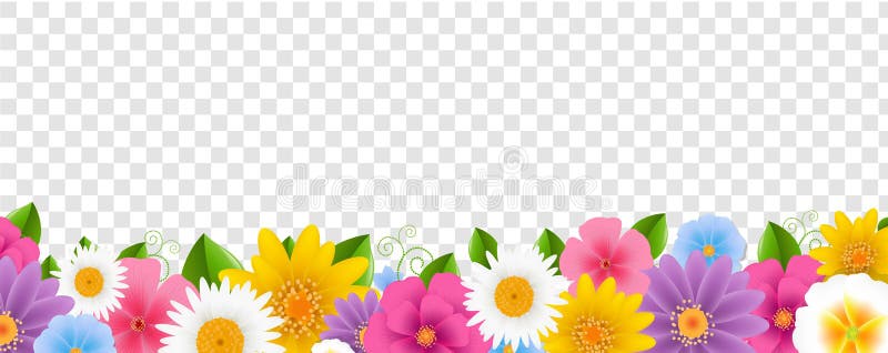 Border with Spring Flowers Isolated Transparent Background Stock Vector ...