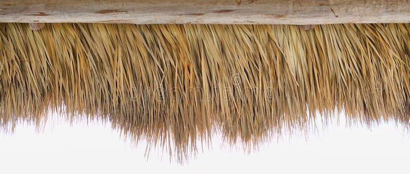 197 Thatch Border Stock Photos - Free & Royalty-Free Stock Photos from ...