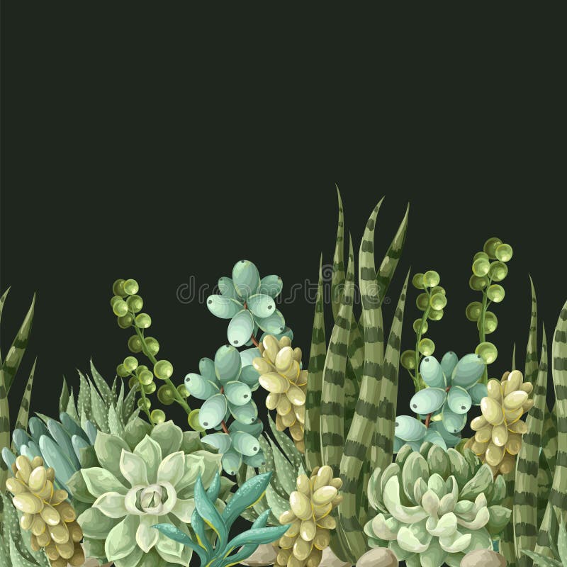 Border with Succulents and Cactus. Vector. Stock Vector - Illustration ...